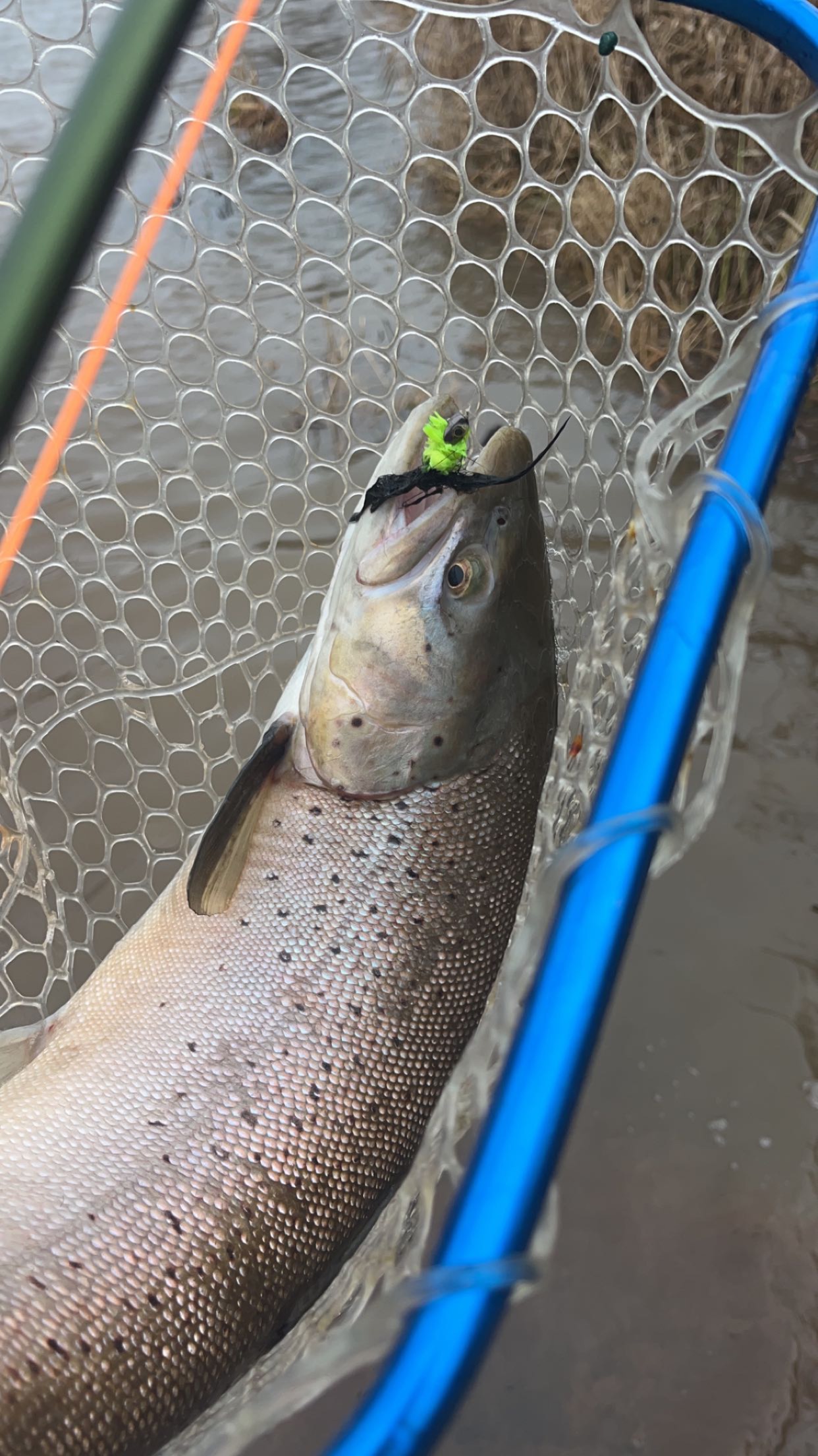 Fly-Fishing:Setups for Swinging to Steelhead & Brown Trout – Dual Waters